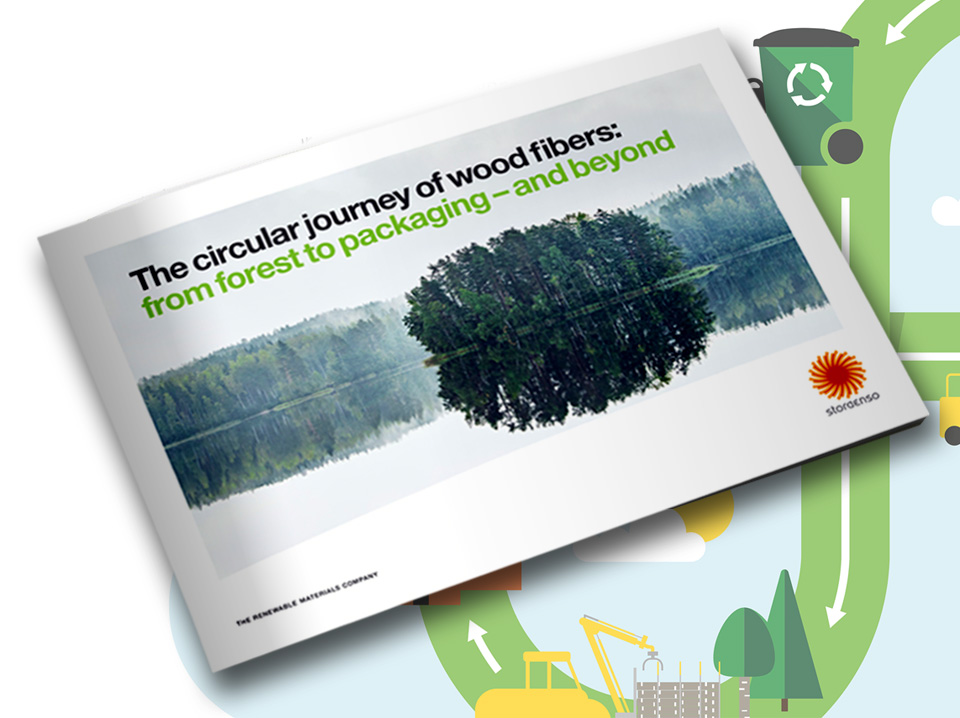 The circular journey of wood fibers: from forest to packaging